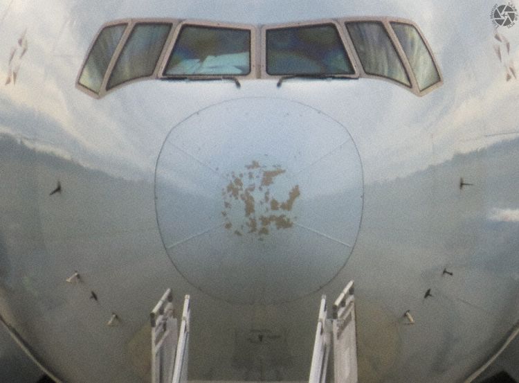 AC90 - Incident: Canada B773 at Buenos Aires on Nov 30th 2022