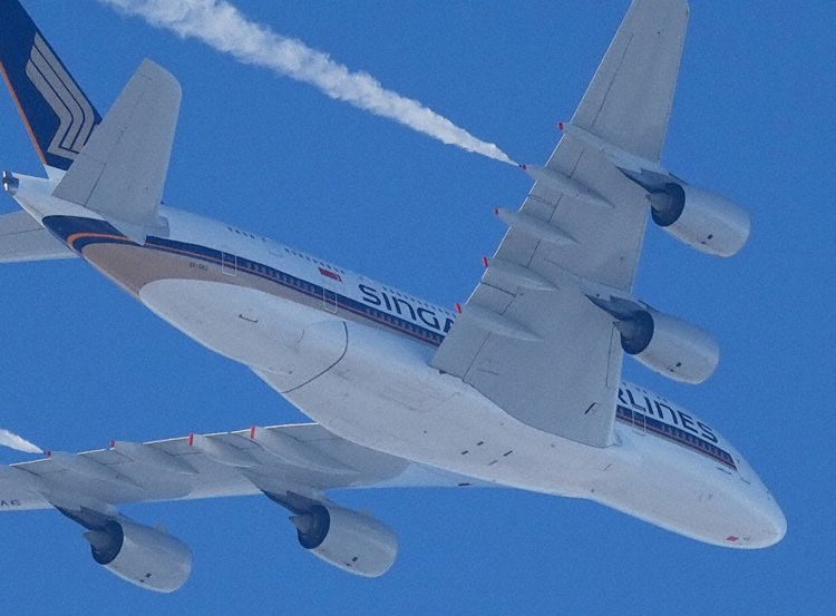 SQ317 - Incident: Singapore A388 near Frankfurt on Nov 24th 2022